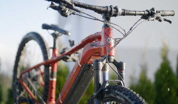 OUR PURPOSE: MAKE THE WORLD A BETTER PLACE